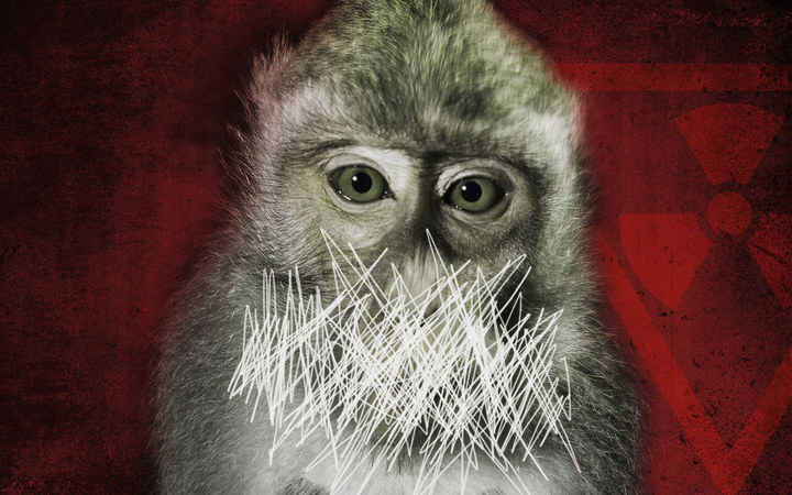 The Silent Monkey Victims Of The War On Terror