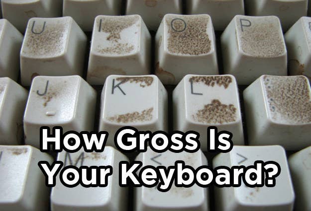 Can We Guess How Filthy Your Computer Keyboard Is?