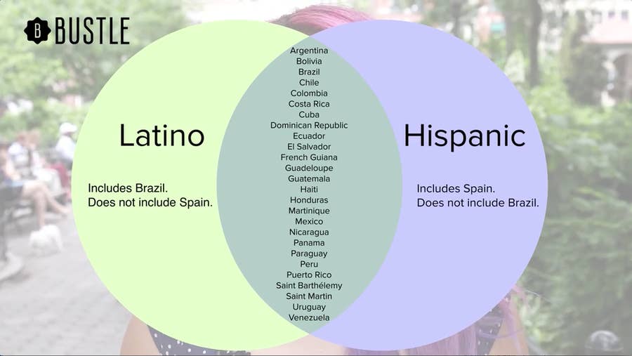 latino spin
