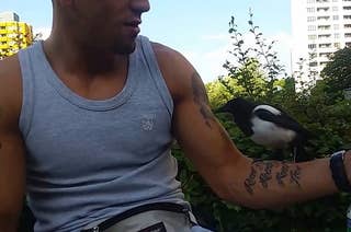 Baked Alaska (bakedalaska) on BuzzFeed