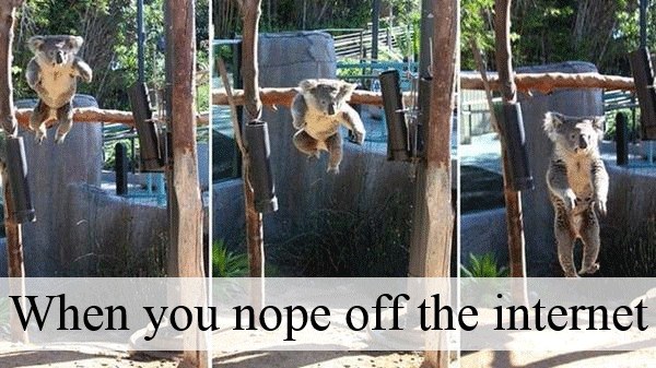 mjmannella on BuzzFeed