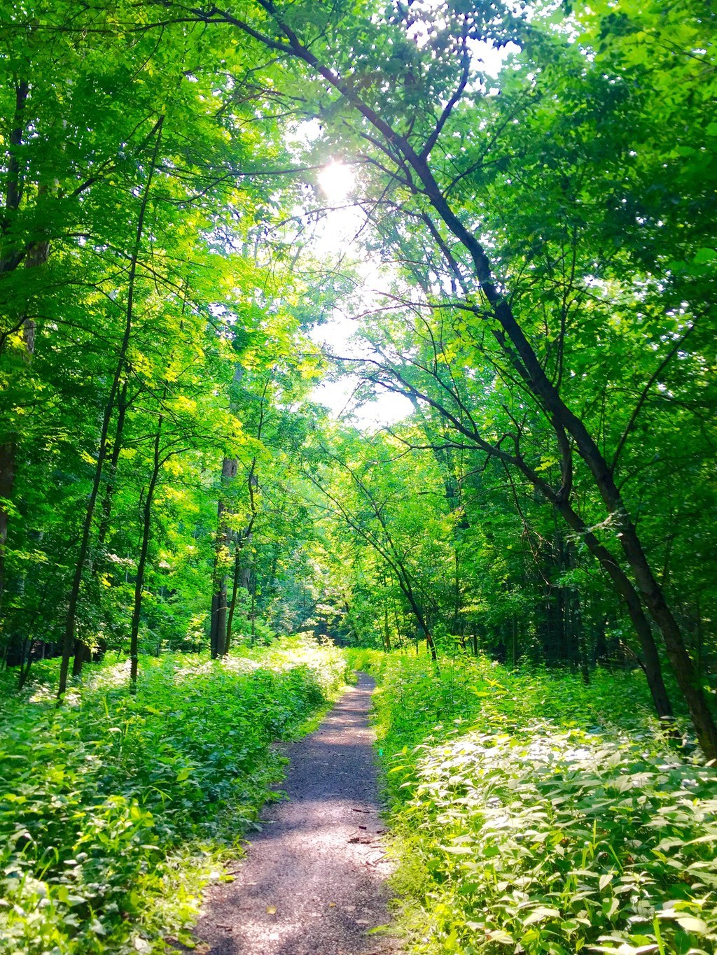 10 Scenic Spots You Must Visit Before Graduating From Cornell