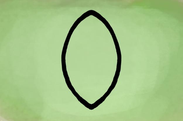 Do You Know What These Shapes Are Actually Called?