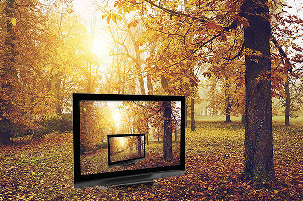 Which Fall TV Show Should You Get Hooked On?