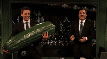 27 Products For People Who Are Completely Obsessed With Pickles