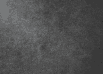 Would You Pay $75 For Jeb Bush's Guacamole Bowl?