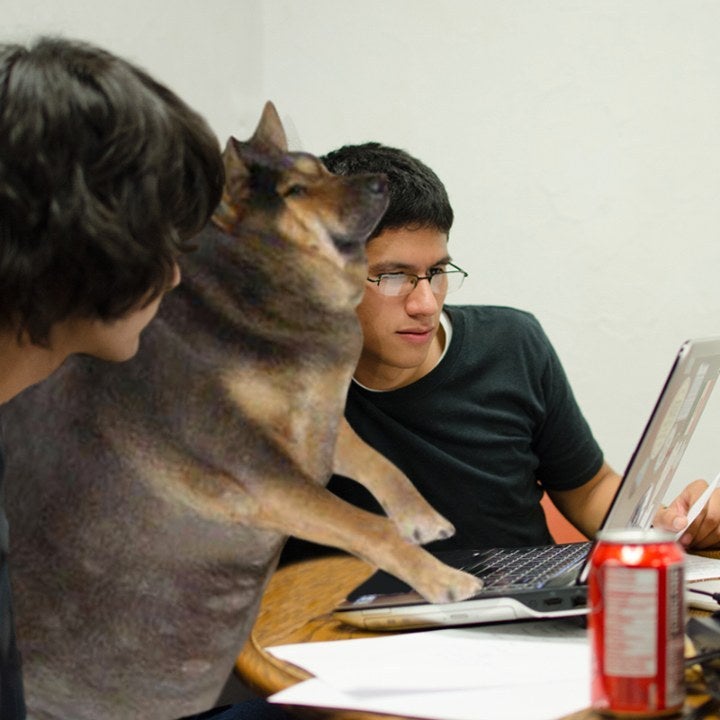 27 Imágenes que te harán un fiel creyente de El Perrito Super Gordito