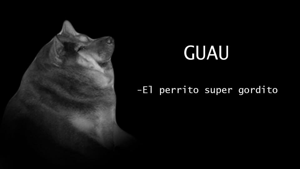 27 Imágenes que te harán un fiel creyente de El Perrito Super Gordito