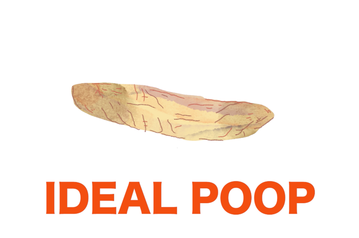 Here's What Your Poop May Be Trying To Tell You