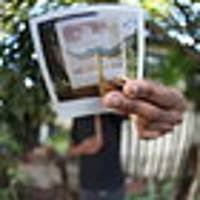 kwesi james (kwesijames) on BuzzFeed