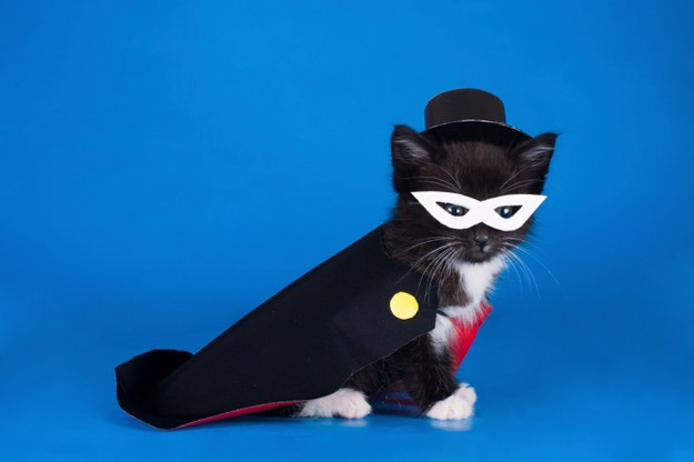What's Your Secret Personality? What's Your Secret Personality?