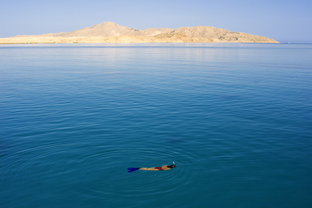 15 Ace Diving Photos That Will Give You Scuba Thirst
