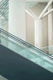 Here's Justin Trudeau Walking The Wrong Way Up An Escalator For All ...