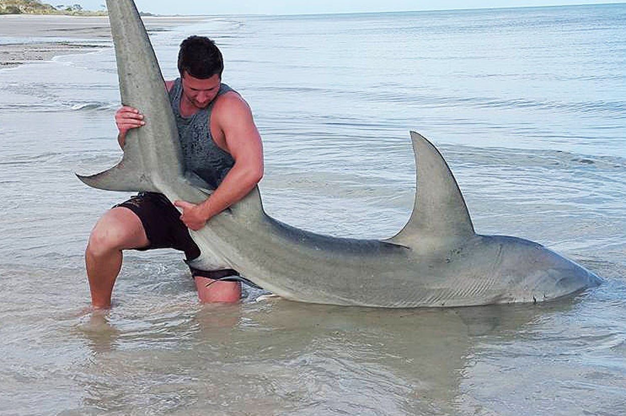 This Teen Lands Sharks With His Bare Hands, Because Australia