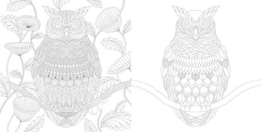 a million owls coloring book