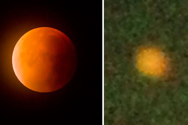 14 Stupendously Bad Pictures Of The Super Blood Moon