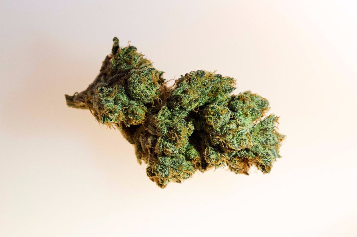 Native American Tribe To Open First Marijuana Resort In The U.S.