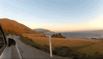 11 GIFs That'll Transport You Straight To California