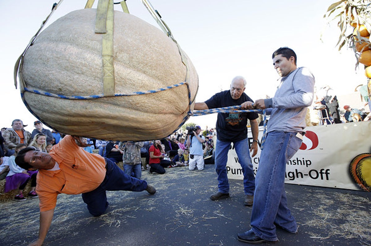 This Farmer Grew A Nearly 2,000-Pound Pumpkin And It's The Size Of A Car