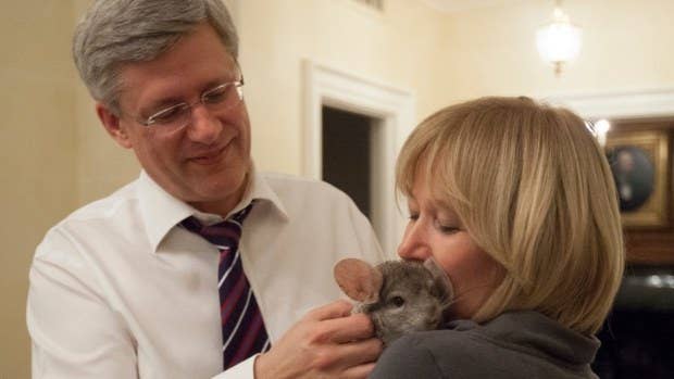 15 Moments From Stephen Harper’s Time As PM That We’ll Never Forget