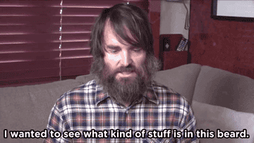 will forte beard test