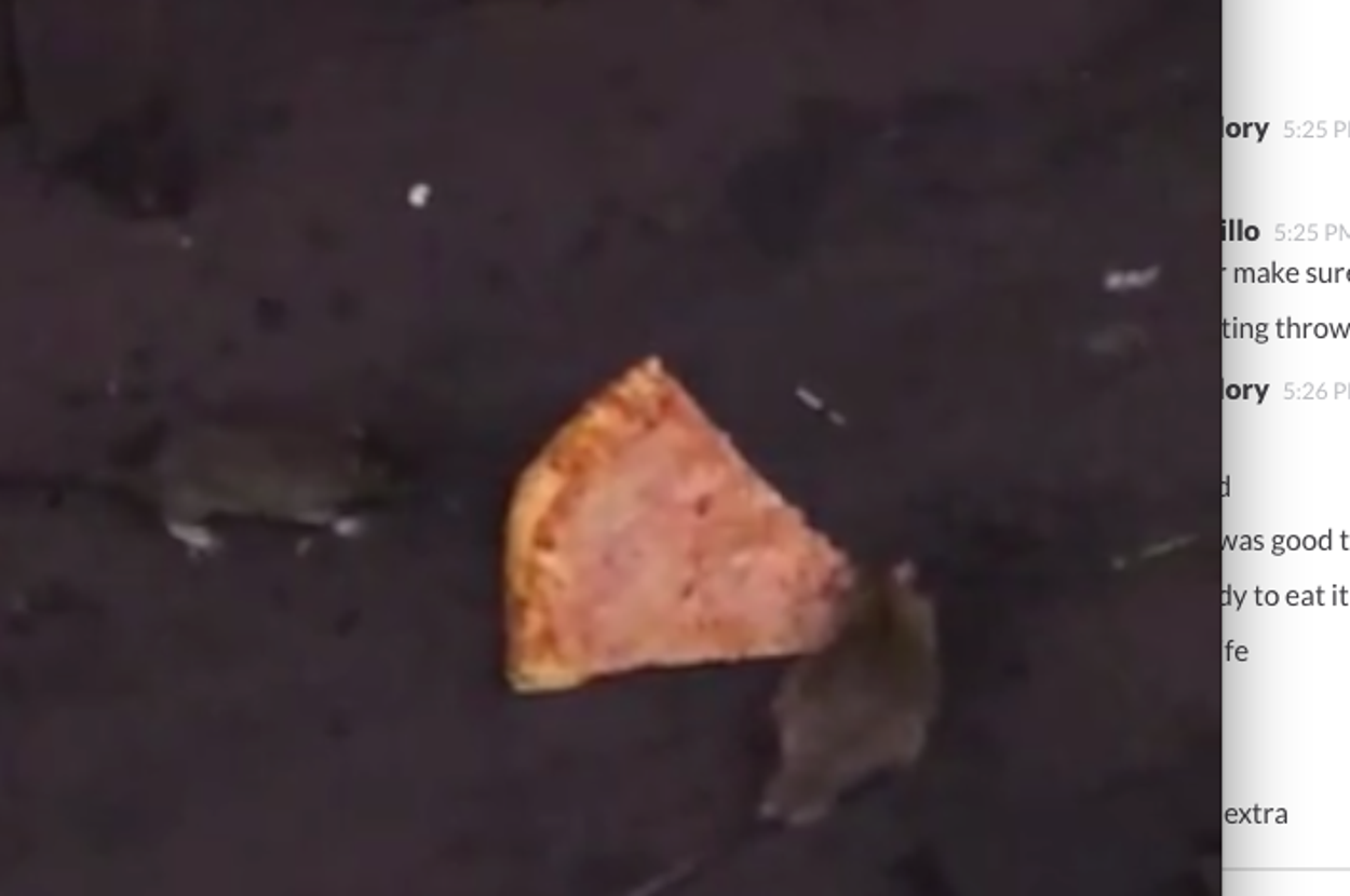 Two Rats Fought Over A Slice A Pizza In New York City Because Why Not