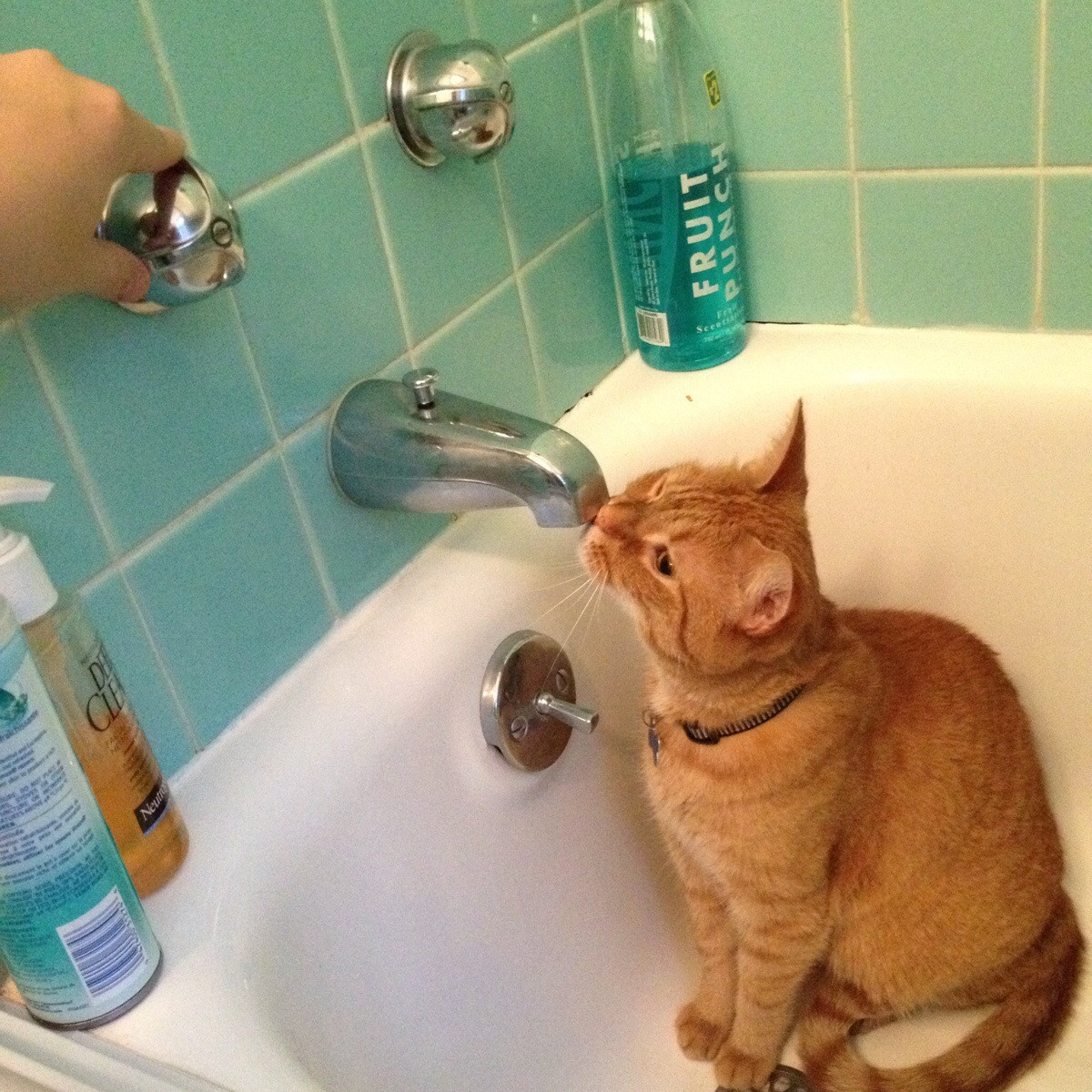 17 Temptations That Guys Find Incredibly Hard To Resist