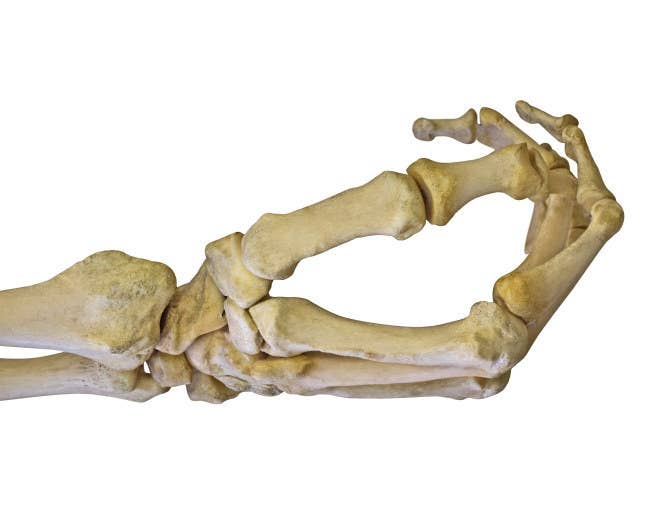 how to draw a hand buzzfeed