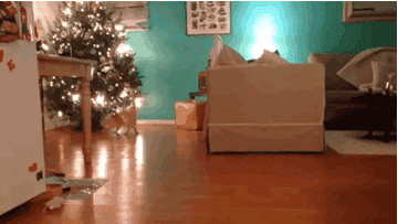 10 Holiday Disaster Stories That'll Make You Laugh More Than Cry