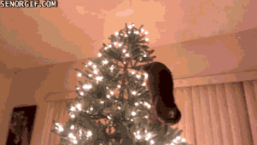 Literally Just 15 GIFs Of Christmas Trees Falling Over