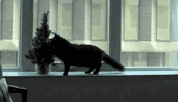 Literally Just 15 GIFs Of Christmas Trees Falling Over