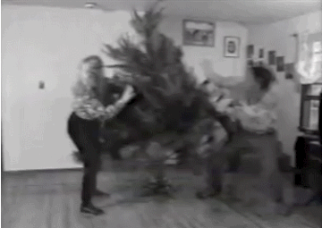 Literally Just 15 GIFs Of Christmas Trees Falling Over