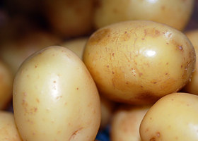 How Much Of A Potato Addict Are You Really?