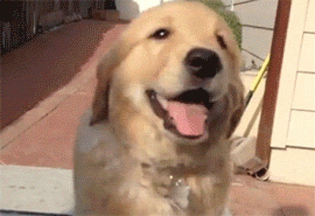 21 Extremely Satisfying GIFs To Help You Achieve Nirvana