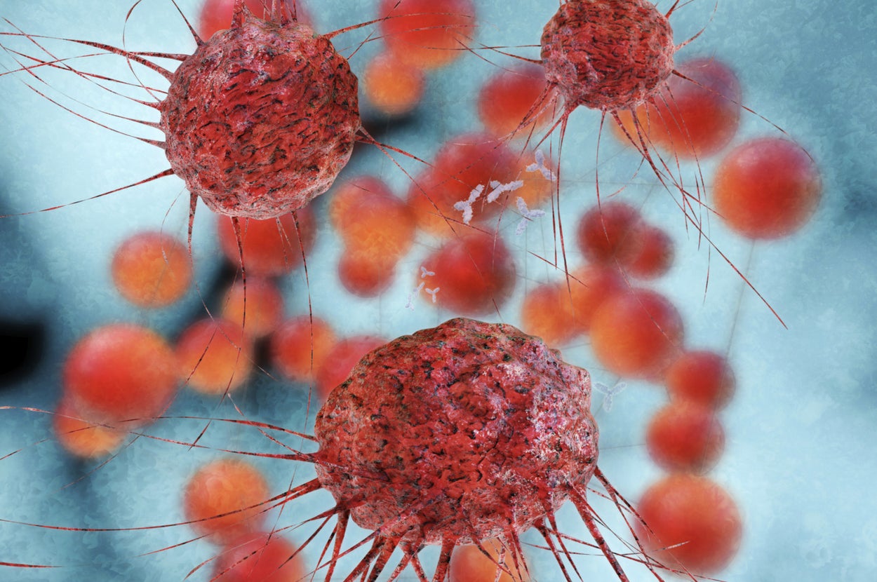 This Cancer Scientist Faked Tons Of Studies, Say Feds
