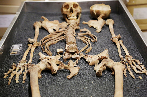 Dead Bones's Instagram, Twitter & Facebook on IDCrawl