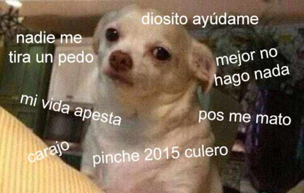 18 Veces en las que el meme del perrito reflejó tu 2015 a la perfección