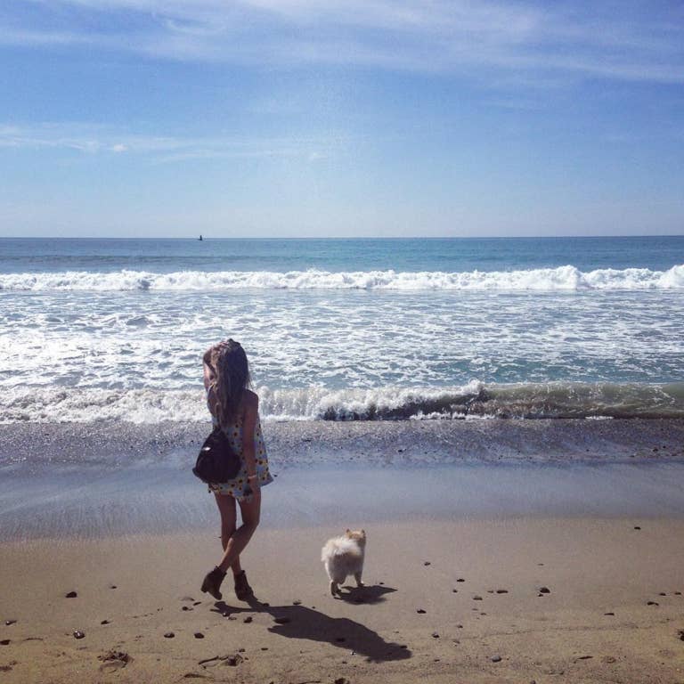 shay mitchell walking