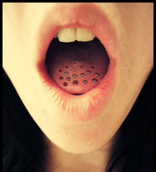 Trypophobia Is An Absolutely Terrifying Thing And You Definitely Have It