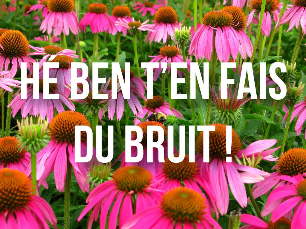 21 phrases beauf qu’on vous a peut-être déjà dites après l’amour