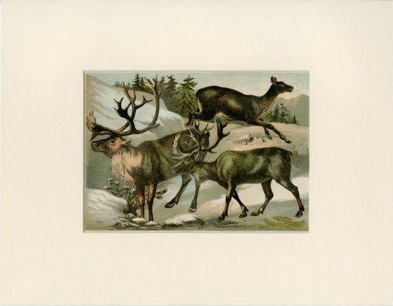 22 Stylish Products Every Reindeer Lover Needs In Their Life