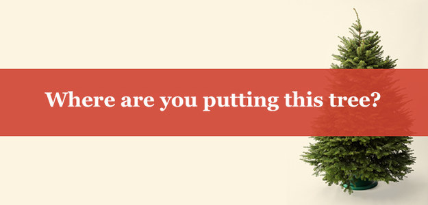 What Kind Of Christmas Tree Should You Get?