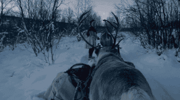 42 Heart-Pounding Moments From The Non-Stop BBC Four Sleigh Ride