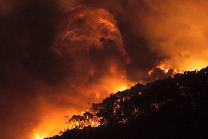 Terrifying Images Show Raging Forest Fire Which Destroyed 116 Homes In ...