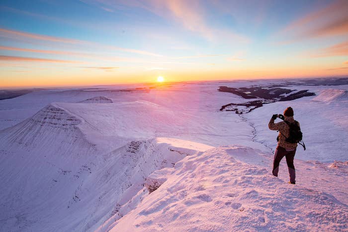 27 Wintry Pictures Of Britain's Wildlife Bracing Themselves In The Snow
