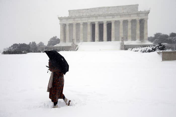 Just Look How Much Fun This D.C. Panda Is Having In The Blizzard Snow