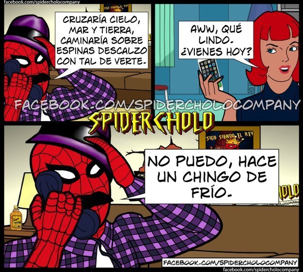 15 Veces en las que Spidercholo lo dijo mejor que tú
