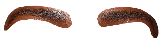 Can You Match These Eyebrows To Their Celebrity Owners?