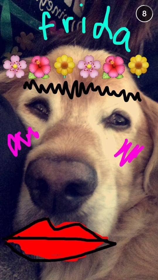 17 Snaps Every Best Friend Has Definitely Sent