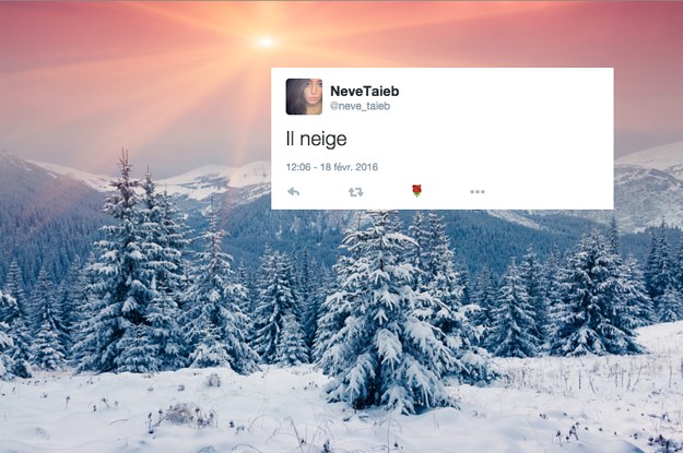 IL NEIGE